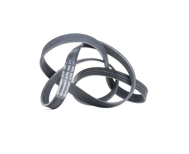 V-Ribbed Belts CONTITECH 6PK1685 — Buy now!